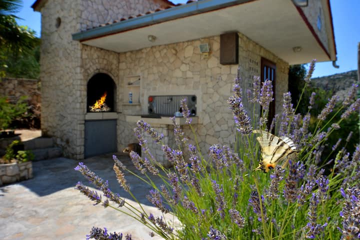 Apartments Dalmatia Franjic Croatia - Rogoznica