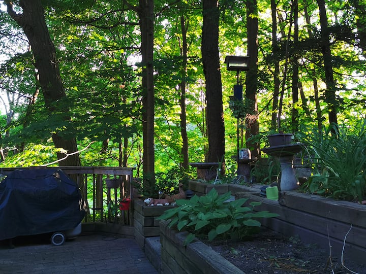 Over 28 Nights Only. - Pickering