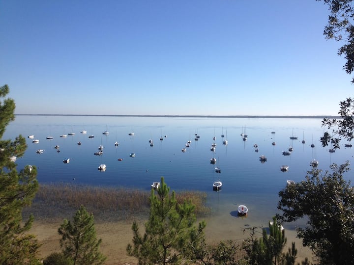 Appartement Dans Pinède  Prés Océan - Carcans