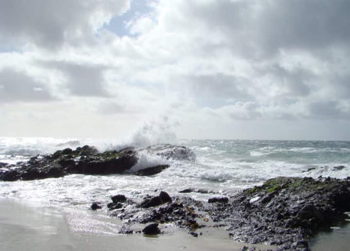 Charming, Private, Ocean View, Tiny House - Laguna Beach, CA