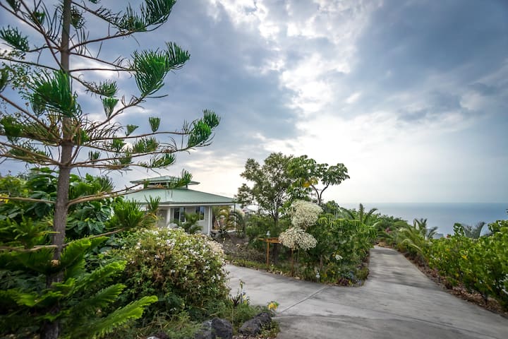 Thepineappleexpress~oceanviews~hottub~volcano65mi - Hawaii