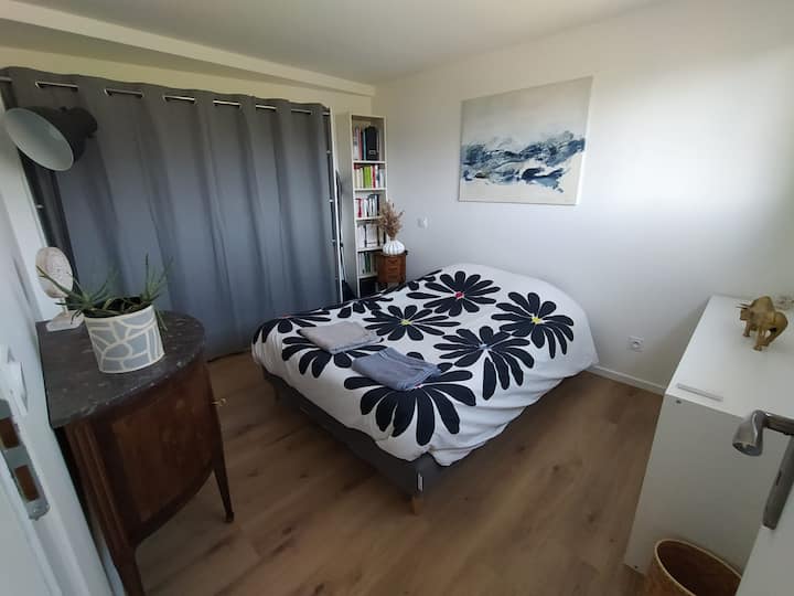 Chambre Face Aux Montagnes - Annecy
