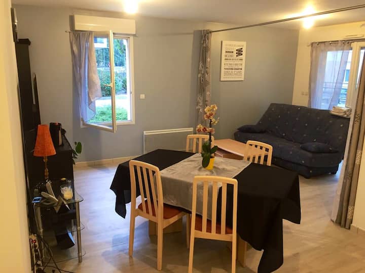 Appartement Hyper Centre Ville D’angers - Angers