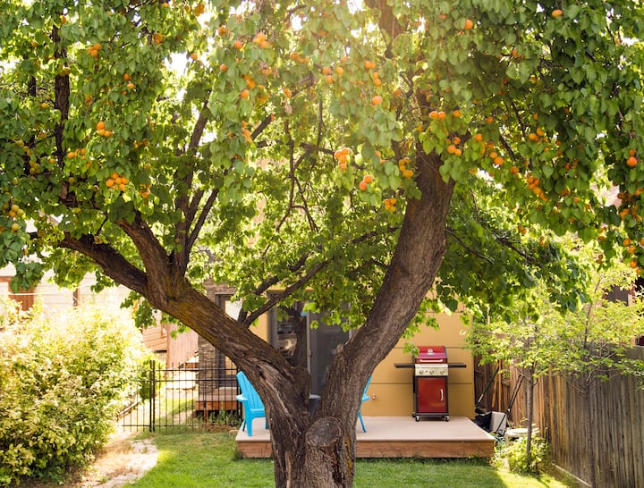 The Windsor - Salt Lake City, UT