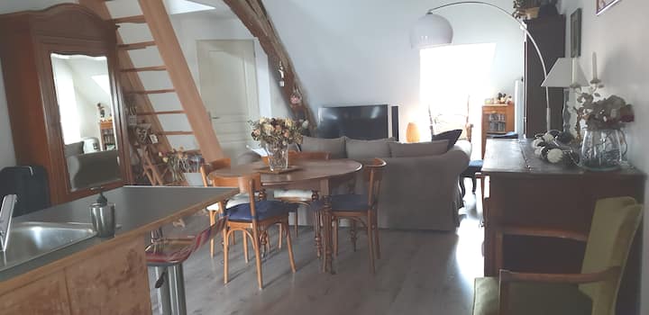 Superbe Appartement Cœur De Ville Atypique - Auxerre