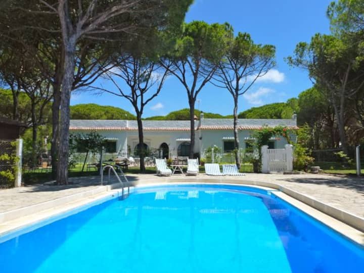 Los Olivos - Chiclana de la Frontera