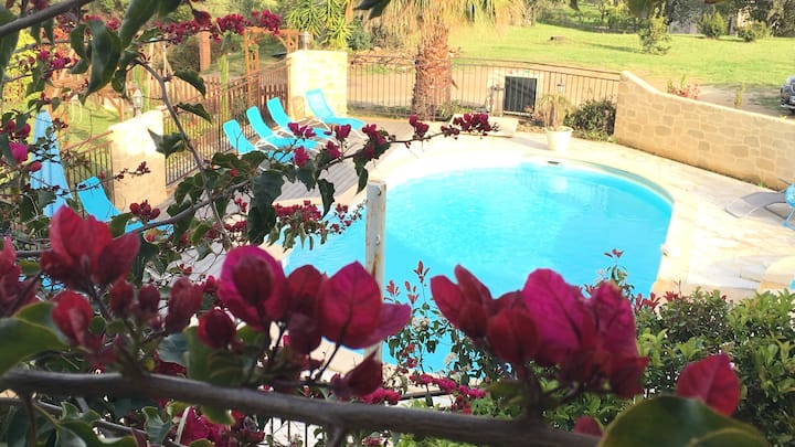 Logement Marinu Piscine, Jardin Mer 400 M - Plage de Canella