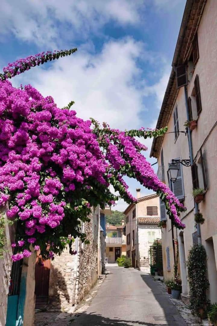 En Provence Près De Nice - Saint Paul de Vence