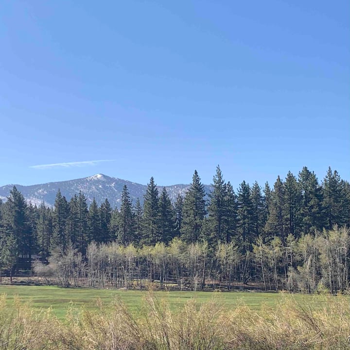 Lake Tahoe Meadow View Condo #46 - 3br/3ba - Zephyr Cove, NV