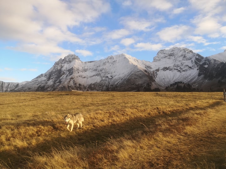 Appartement Individuel Dans Un Chalet Montagnard - Le Grand-Bornand