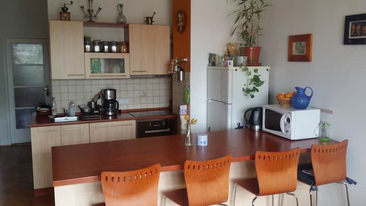 Cosy Place Near Botanical Garden - Prague