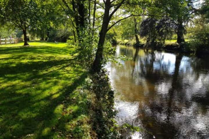 Elmwood Cabin - Oswestry