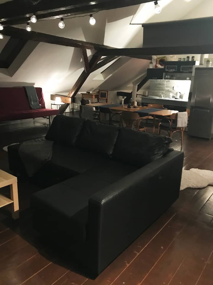 Studio~rooftop~10min Oldtown - Prag