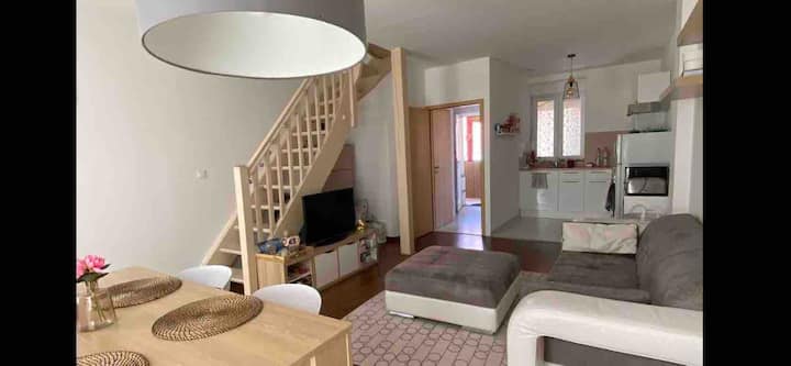 Appartement De Charme Hyper Centre Colmar - Colmar