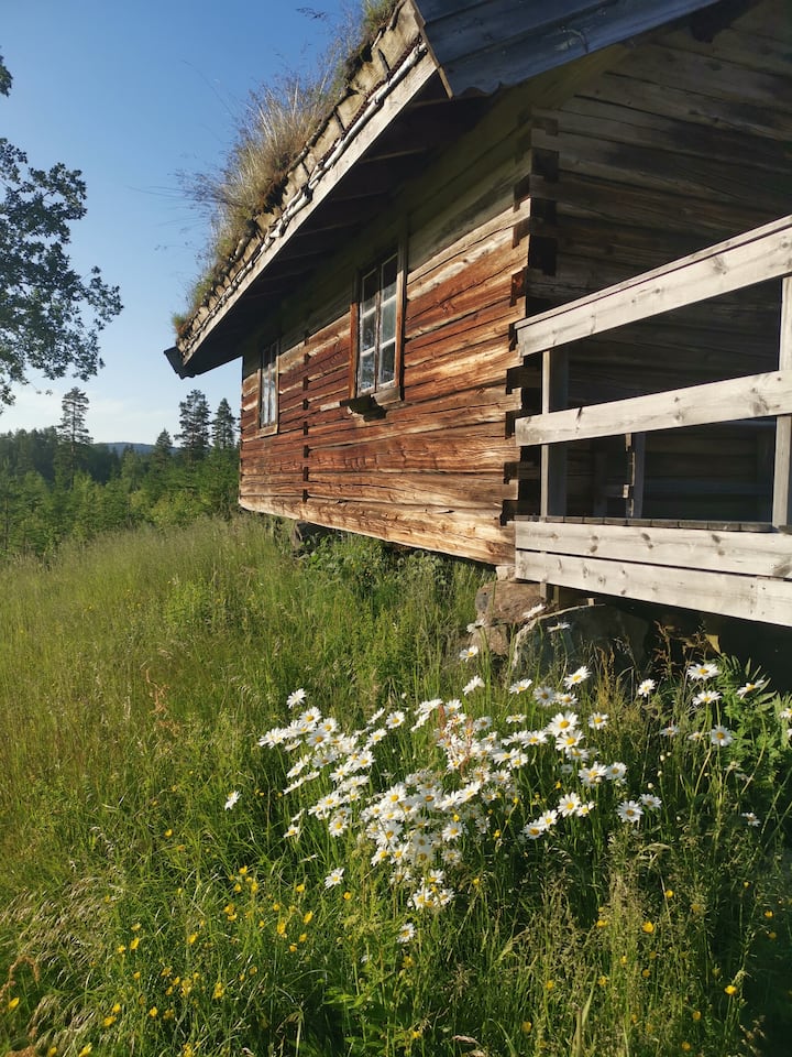 Peaceful Cabin In The Norwegian Woods - Norway