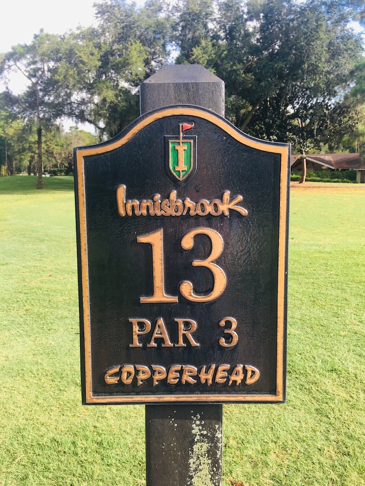 Condo In Palm Harbor, Fl At Innisbrook Golf Course - Palm Harbor, FL