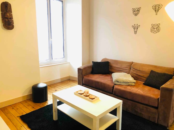 T2 Sur Parquet - Proche Vieille Ville - ibis Montluçon