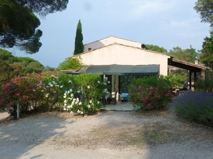 Mas Du Parpaillon-les Glycines - Roquebrune-sur-Argens