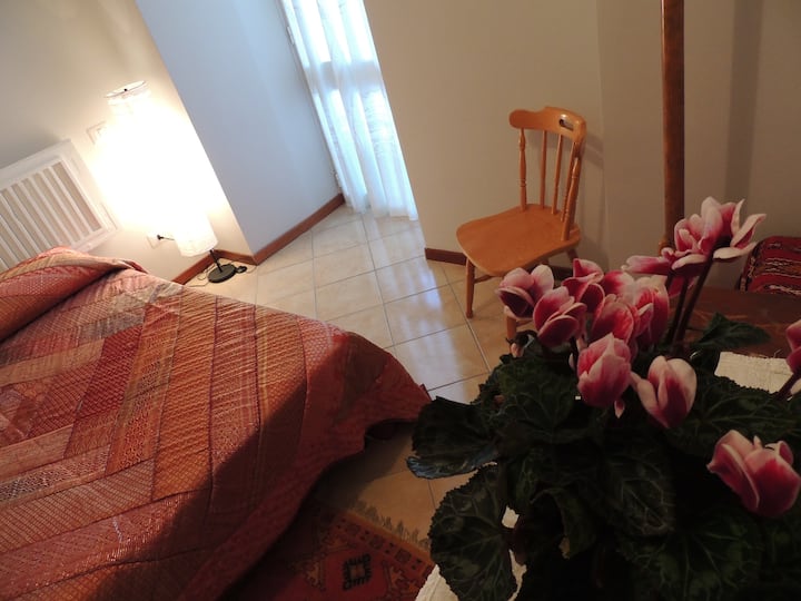 A Casa Di Zia Fiore - Frascati