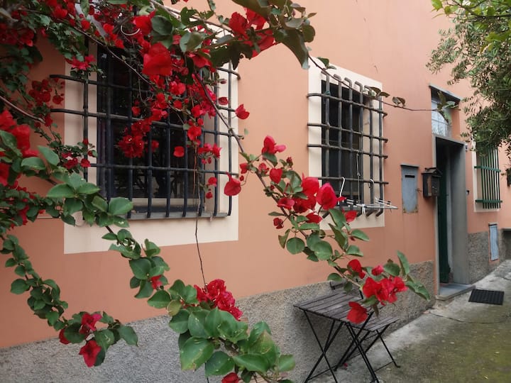 Monolocale Stile Marinaro "Bouganville" - Genova