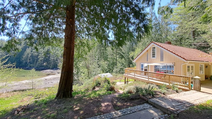Rustic Oceanview Cabin - Forest Retreat On Cortes - Vancouver Island