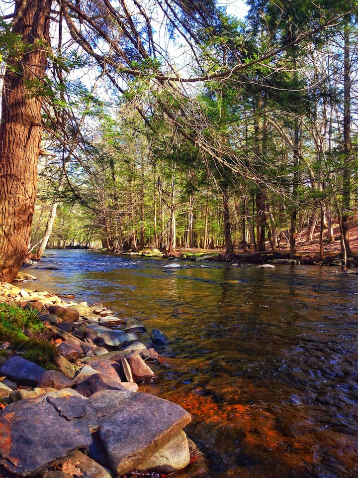 Bushkill Cabin Rentals | Cabins and More | Airbnb
