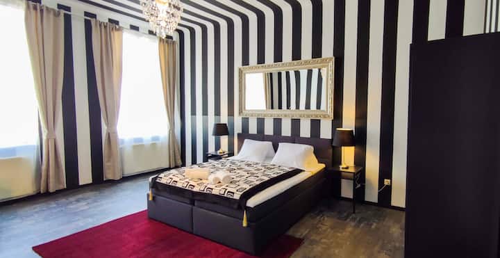 Highlight Apartment St Charles Church - Vienna