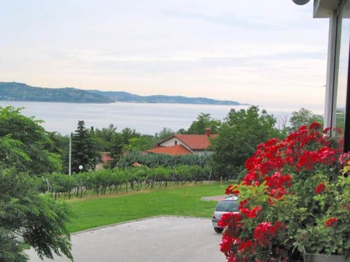 Family Apartment In Green & Quiet Part Of Ankaran - Ankaran