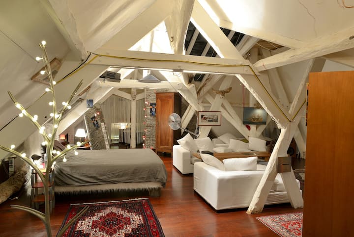Le Loft De L'artiste - Nantes