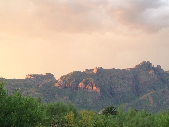 Foothills Peace Combined With Easy Access To City - Tucson, AZ