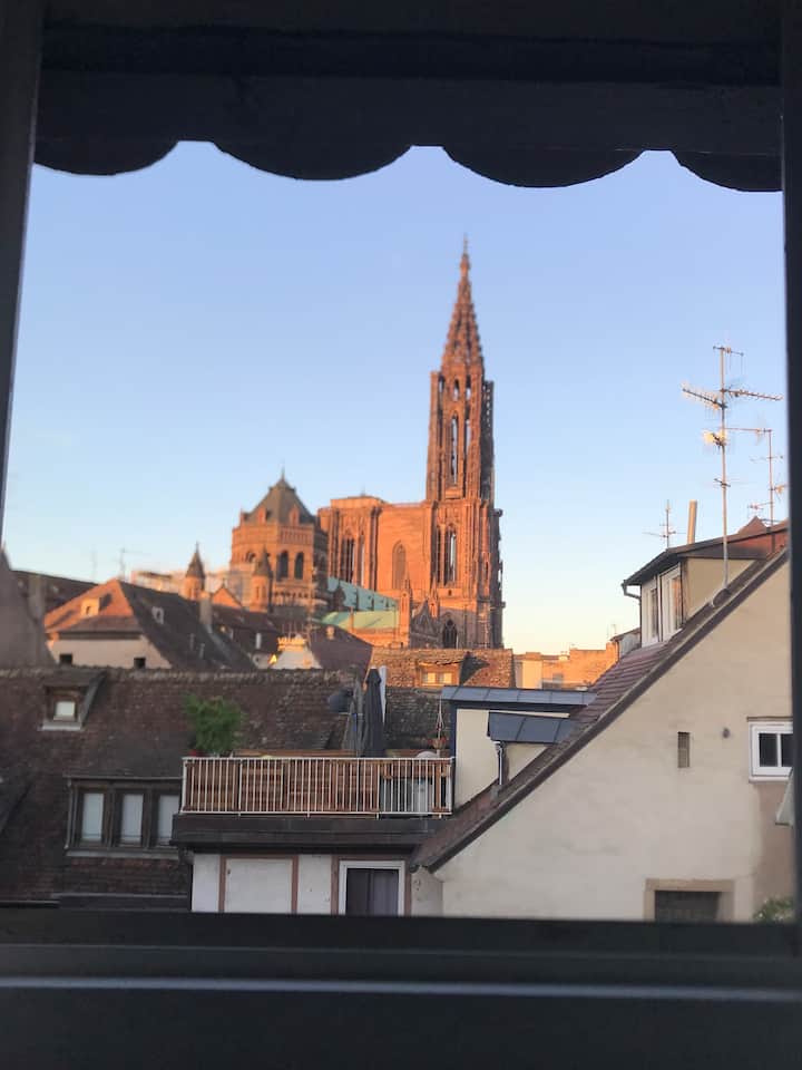 Magnifique Studio, Hypercentre De Strasbourg - Estrasburgo