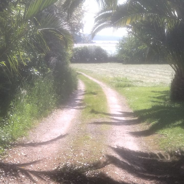 Vieux Port, Maison Paisible
 Mer Et Nature à Pied - Fouesnant