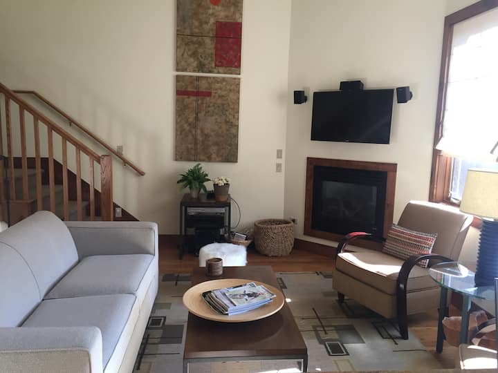 Fabulous Mountain Contemporary 1 Br + Loft Aspen Condo - Aspen, CO