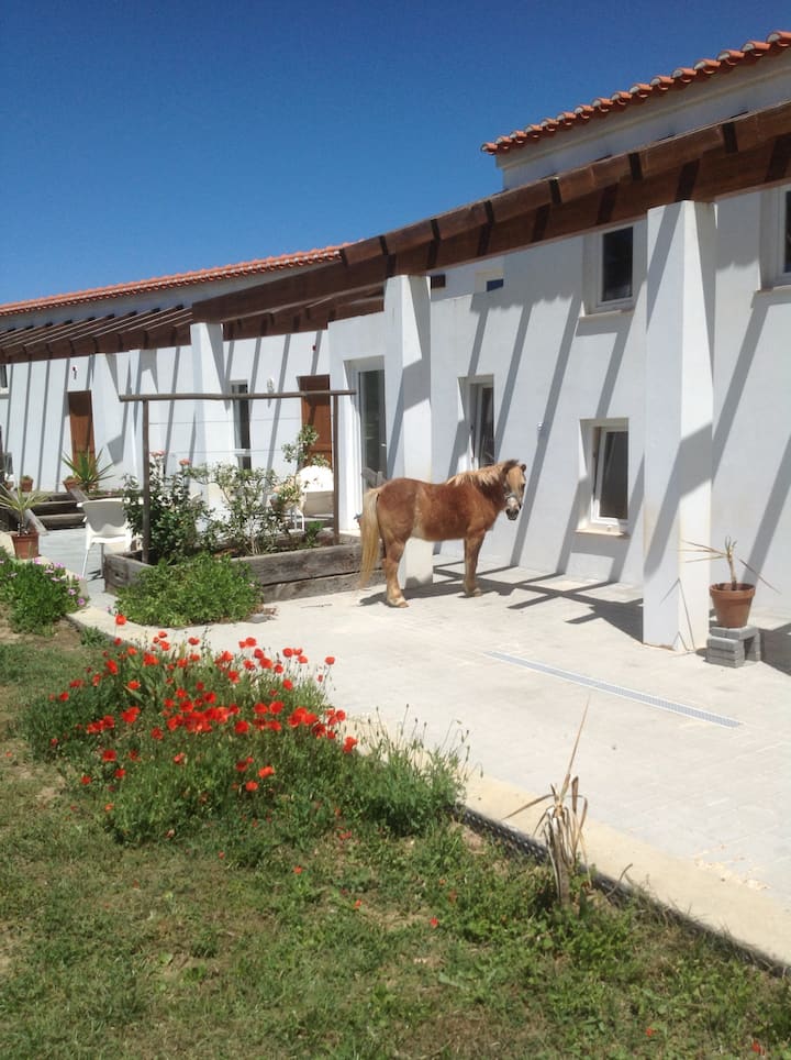 Eco-holiday Houses Near Aljezur - Odeceixe