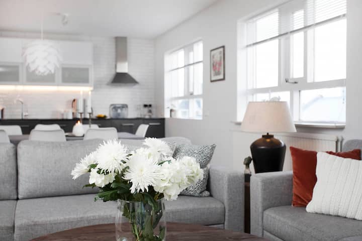 Downtown Apartment In City Center - Reykjavík