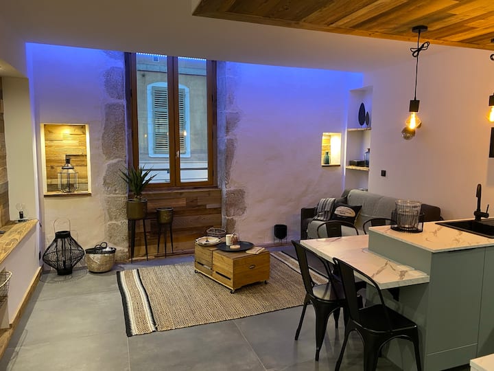 "L'atelier" : Charmant Loft En Centre Ville - Annecy