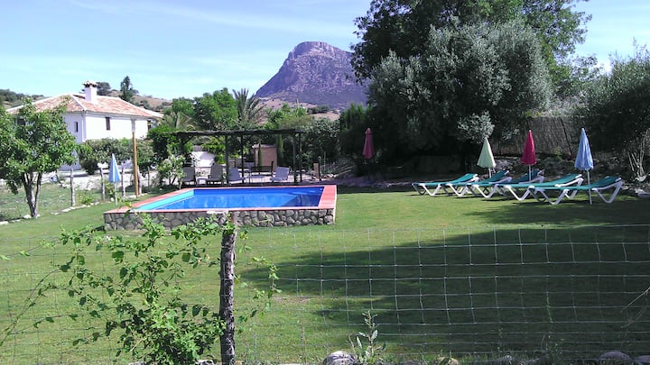 Cortijo, Grazalema, Piscina, 5 Hbts Con Baño, Ac, - Montecorto