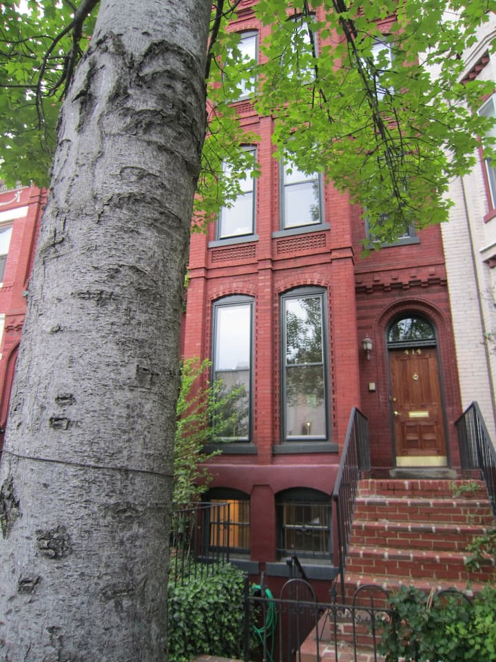 Prime Loc. Quiet 1 Bdrm Ensuite. - Washington, DC