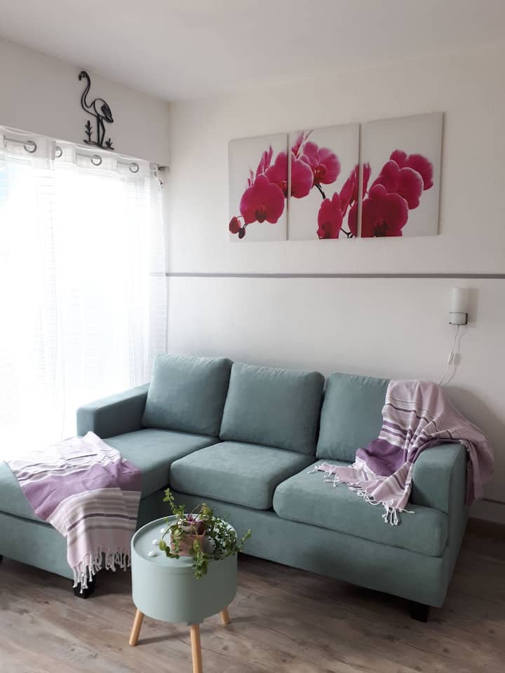 Studio Vu Mer - Le Grau-du-Roi