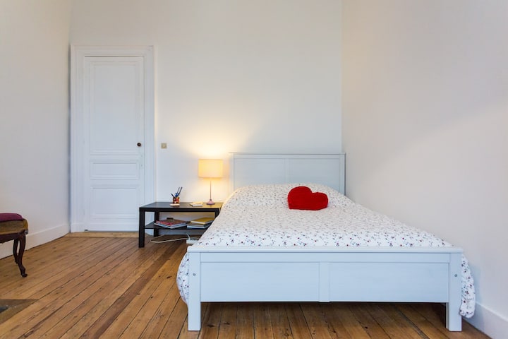 Bel Appartement  Centre Ville Avec Vue Côté Jardin - Bordeaux