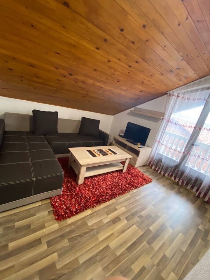 Two Bedroom Apartment-with Basketball Court - Podgorica