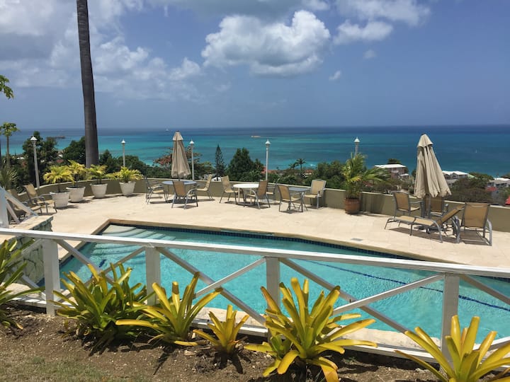 Cozy Sea View Apartment Close To The Beach - Antigua and Barbuda