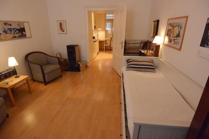 Small & Comfortable Appartement Near Westbahnhof - Viena