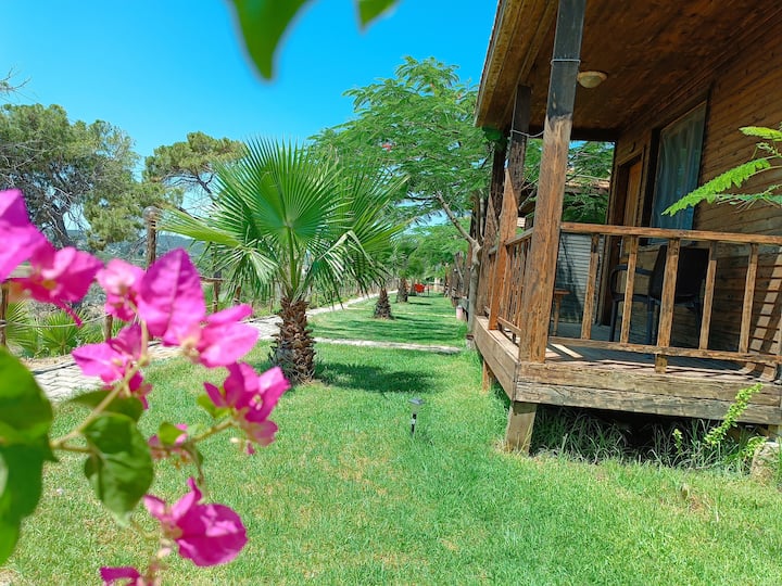 Rizokarpaso Farm Guest House - Cyprus