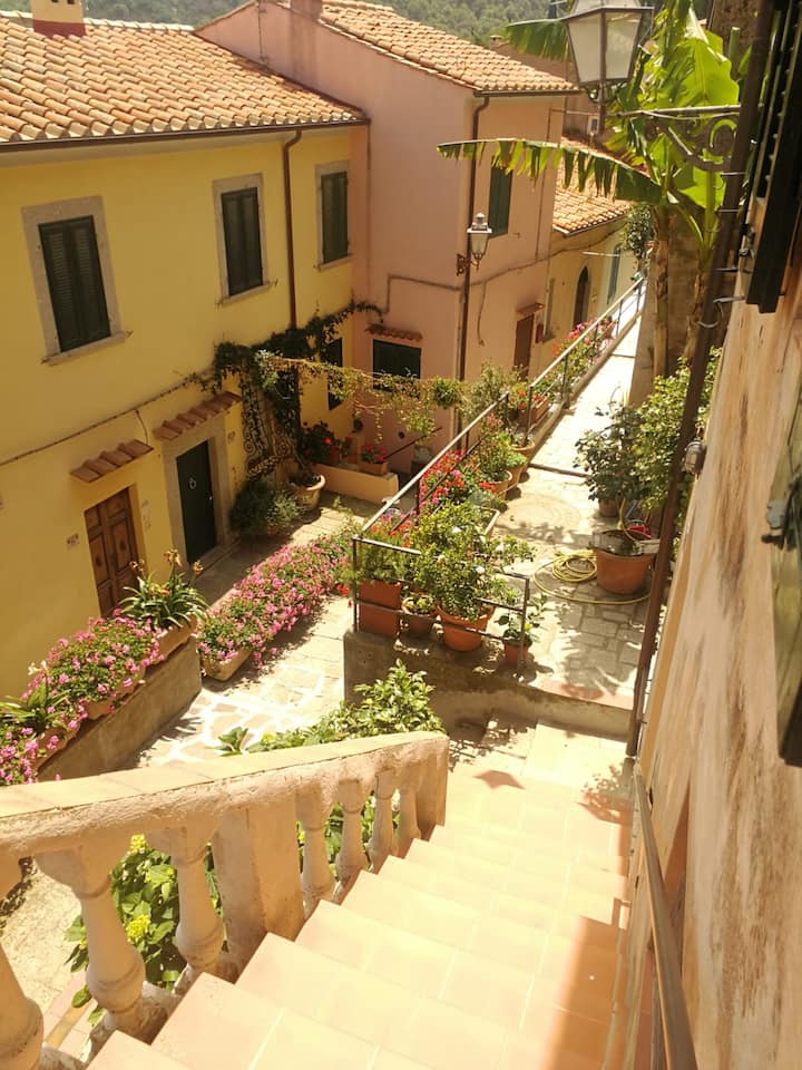 Nido Di Eleonora - Isola d'Elba