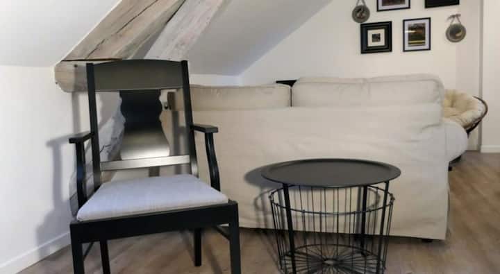 Cosy-climatisation-central-parking-cour - Montargis