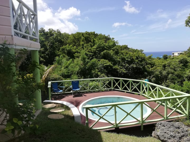 Tree Tops Sea View - Barbados