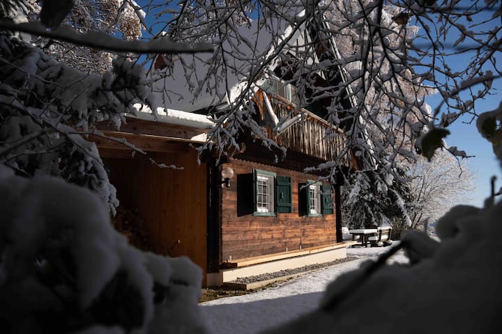 House In The Middle Of A Forrest - Steiermark
