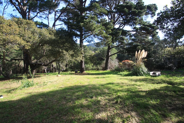 Quiet Redwood Cottage In A Forest. - Seaside, CA