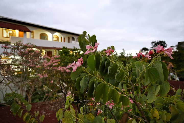 The Galapagos Pearl Hotel - Galápagos Islands